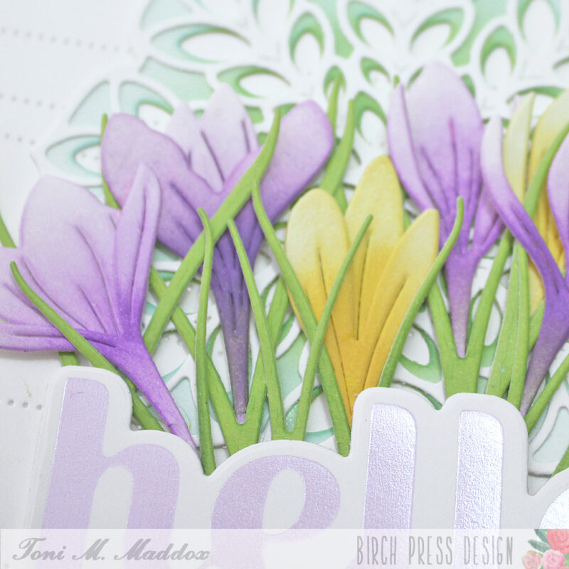 Hello, Spring! | by Toni M Maddox – Birch Press Design