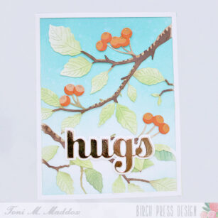 Summer Sky | by Toni M Maddox – Birch Press Design