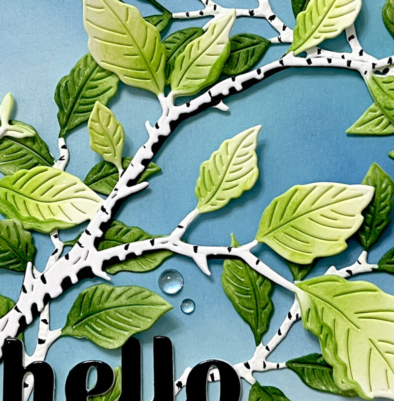 Birch Tree Forest Canopy | by Allison Frazier – Birch Press Design