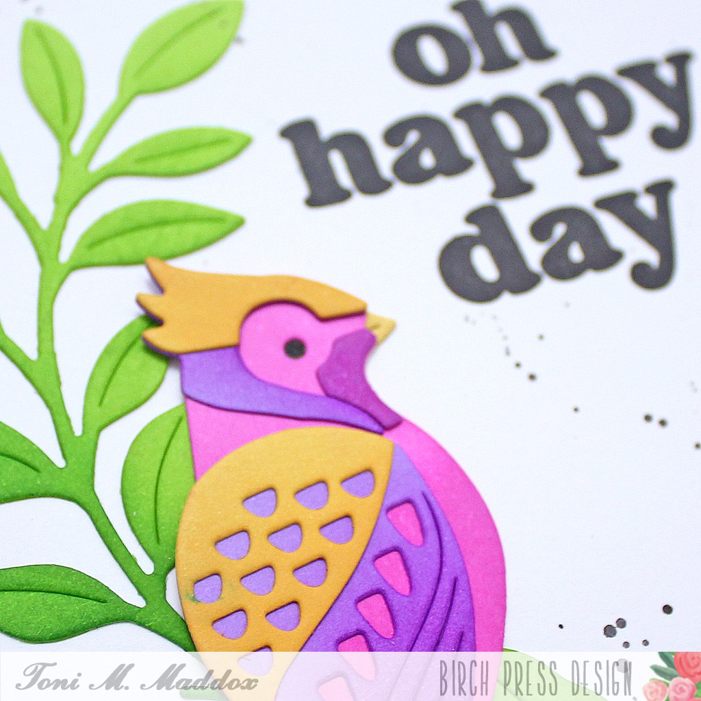Bright Birthday Bird | by Toni M Maddox – Birch Press Design