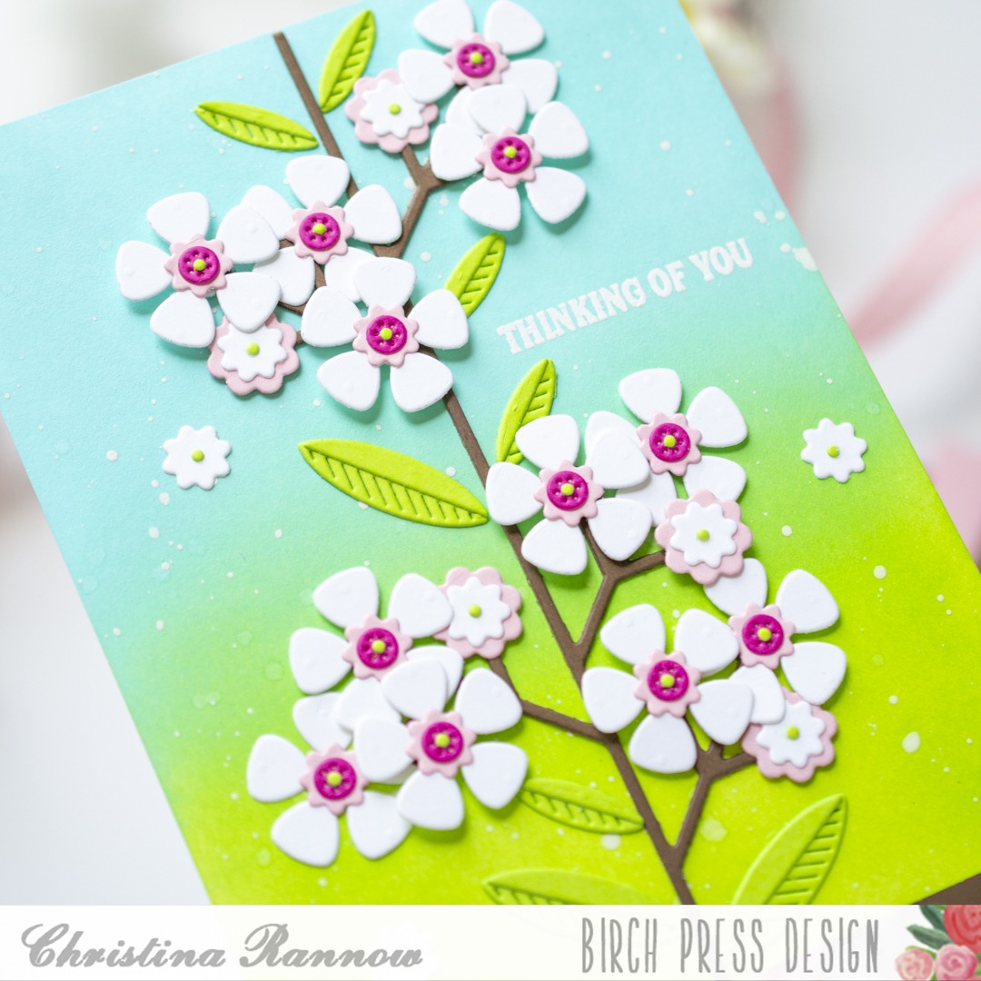 Creative Cherry Blossoms | by Christina Rannow – Birch Press Design