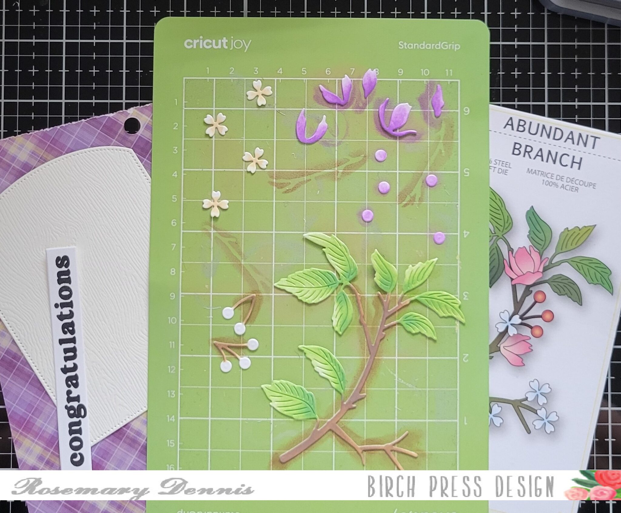 Congratulations | by Rosemary Dennis – Birch Press Design